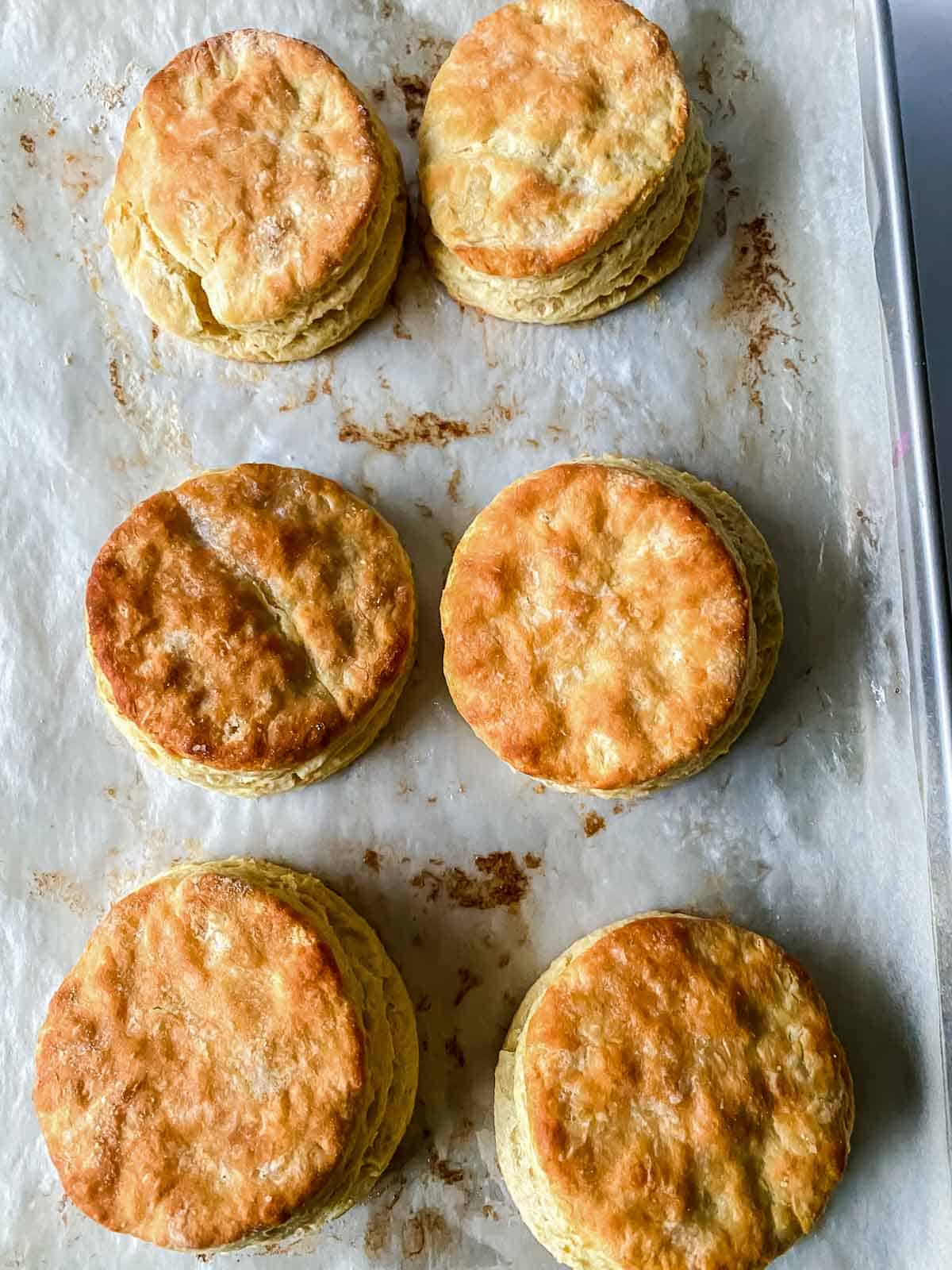 Buttermilk Biscuits - Little Frugal Homestead