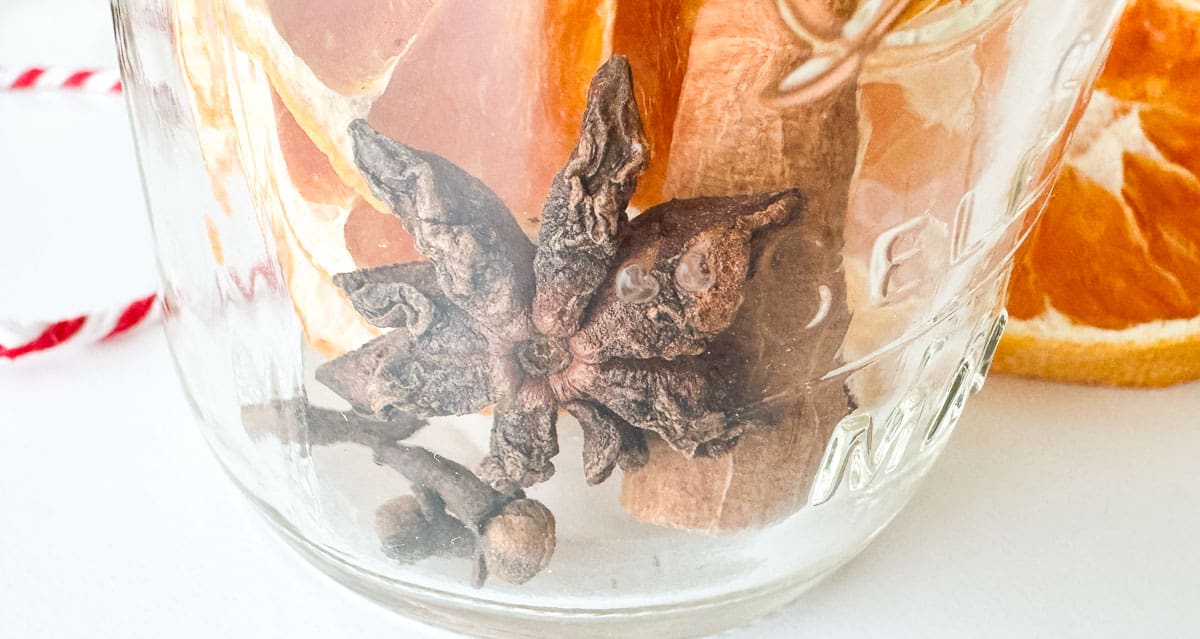 Simmer Pot Jars - Little Frugal Homestead