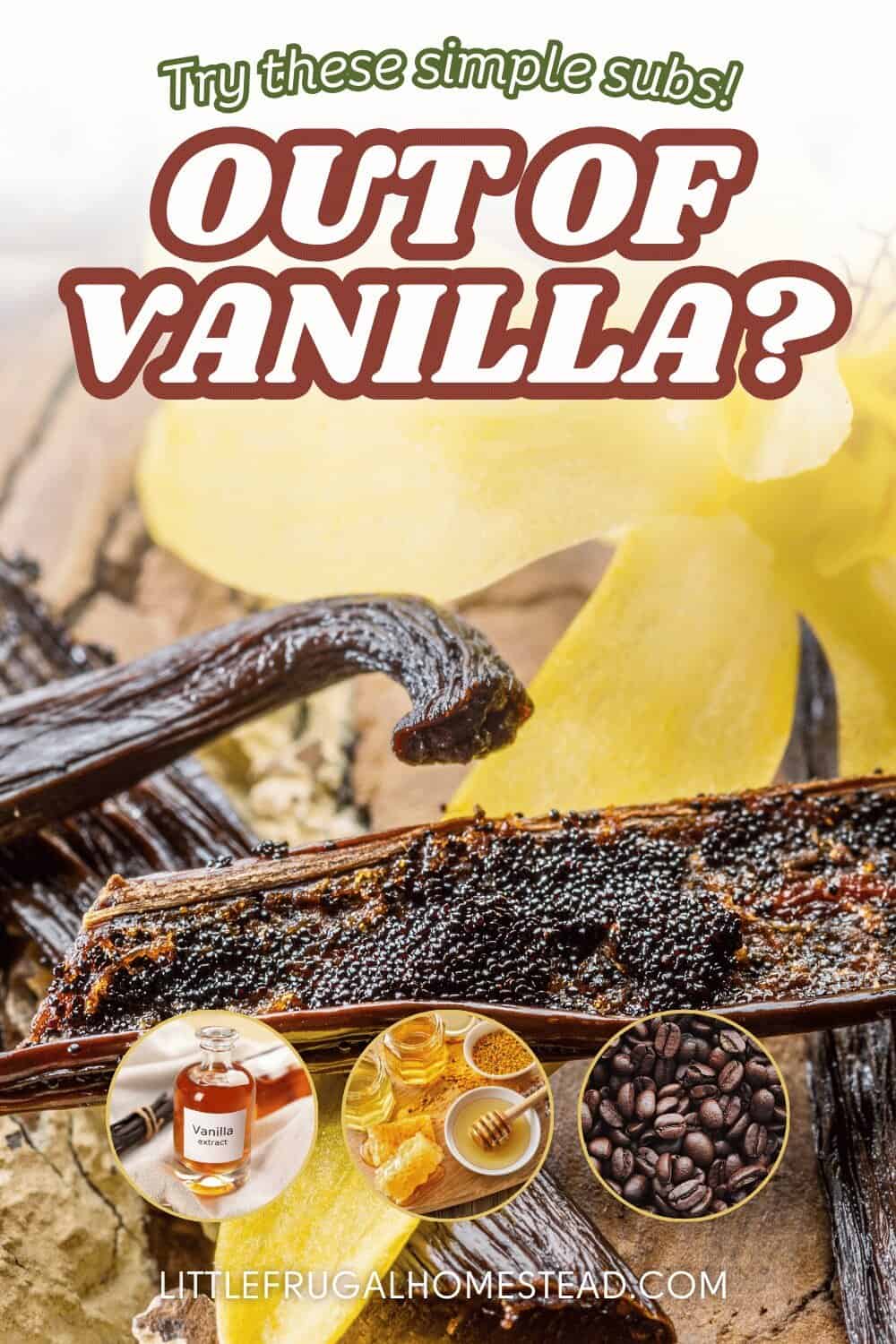 Out Of Vanilla Extract?? Try These Substitutes for Vanilla - Little ...