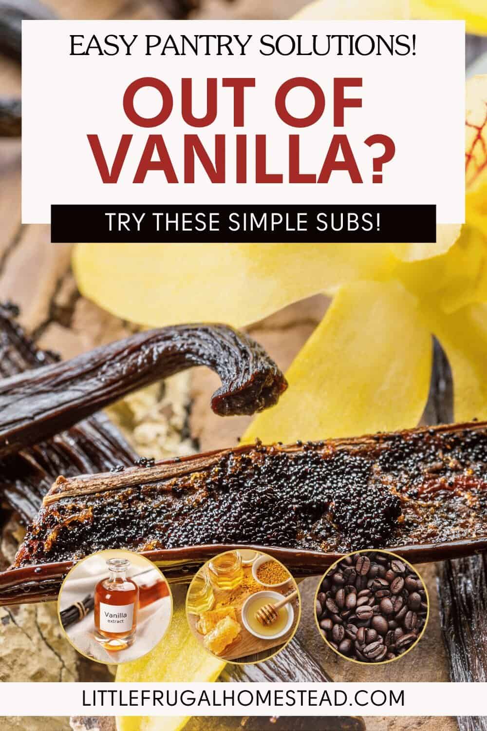 Out Of Vanilla Extract?? Try These Substitutes for Vanilla - Little ...