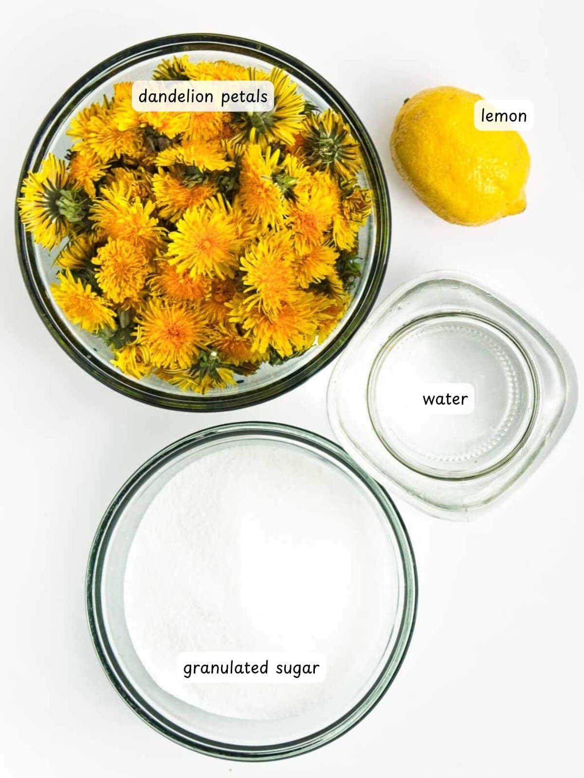 Dandelion Syrup - Little Frugal Homestead