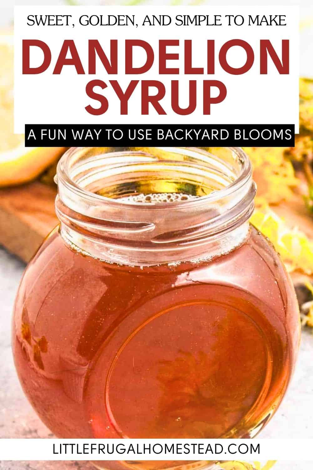 Dandelion Syrup - Little Frugal Homestead