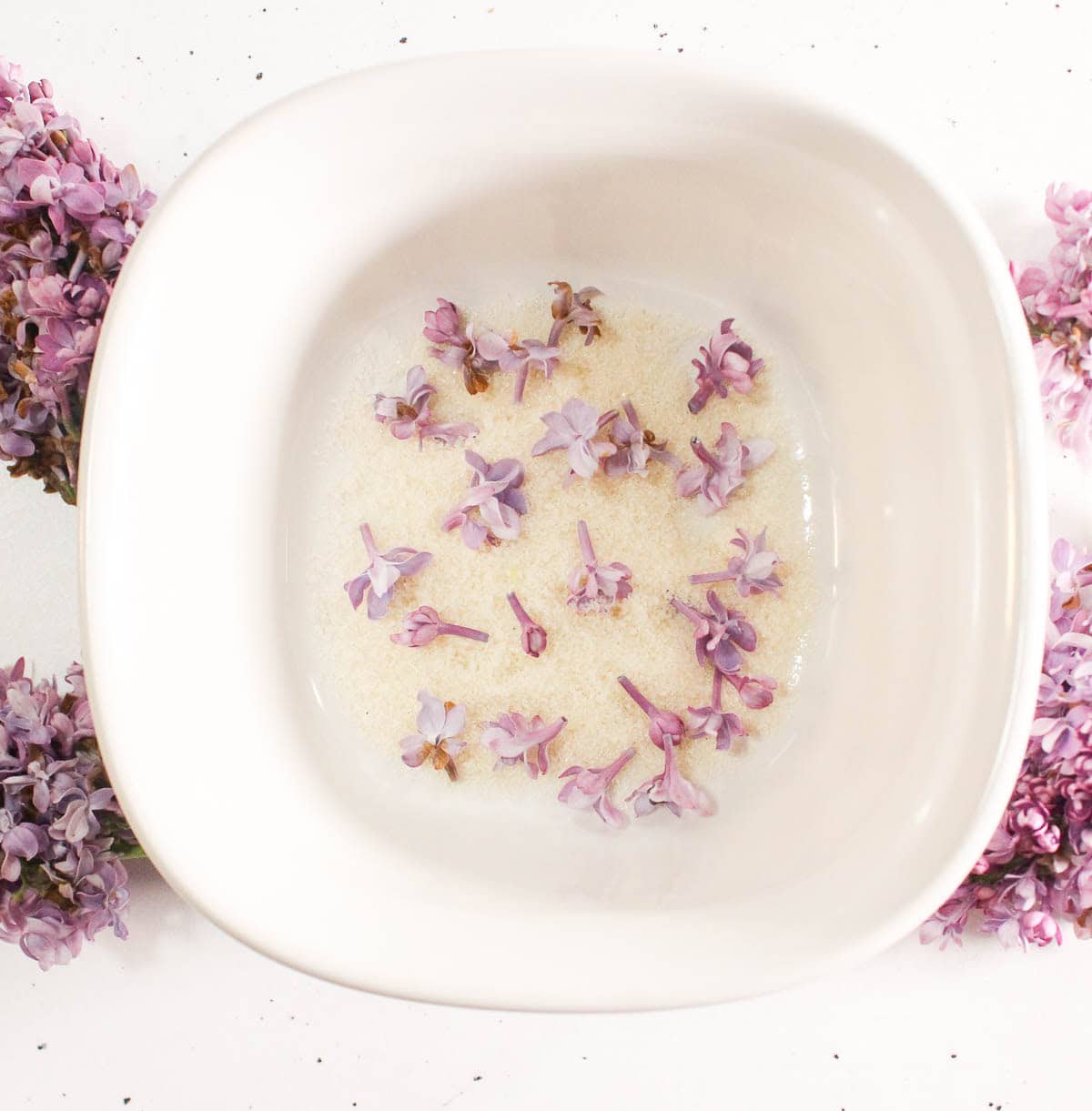 Lilac Sugar - Little Frugal Homestead