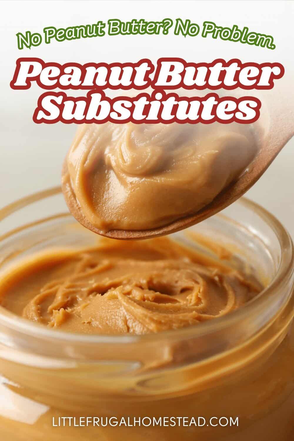 Best Peanut Butter Substitutes - Little Frugal Homestead