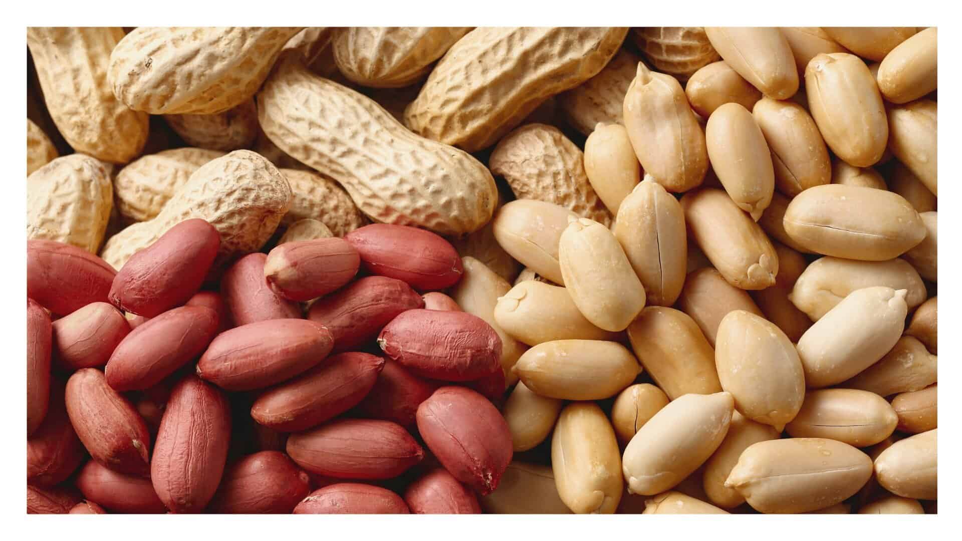 Substitutes For Walnuts - Little Frugal Homestead