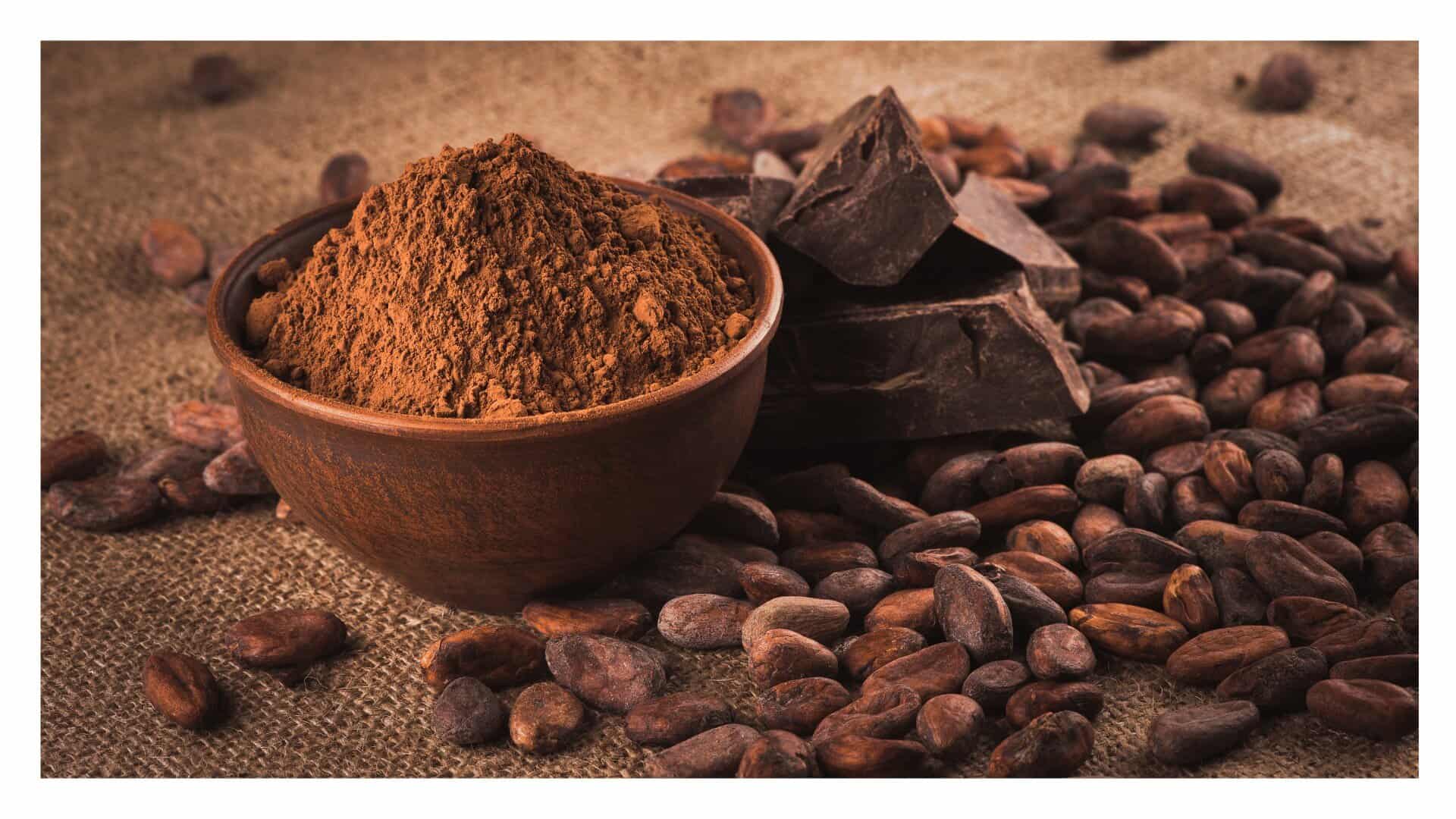 Best Cocoa Powder Substitutes - Little Frugal Homestead